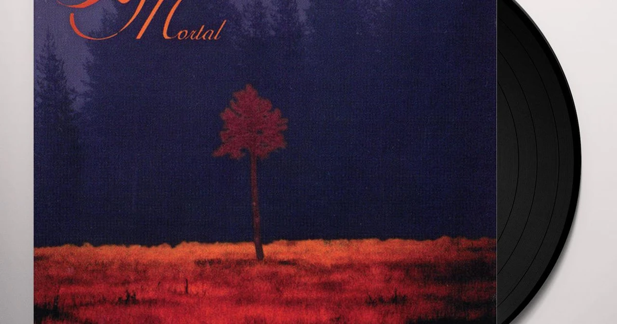 The 3rd & The Mortal Tears Laid In Earth Vinyl Record