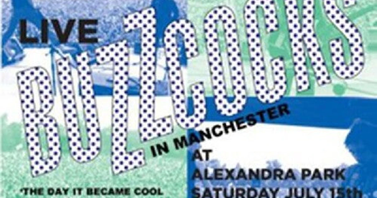 Buzzcocks LP Vinyl - Live Alexandra Park Manchester 1978
