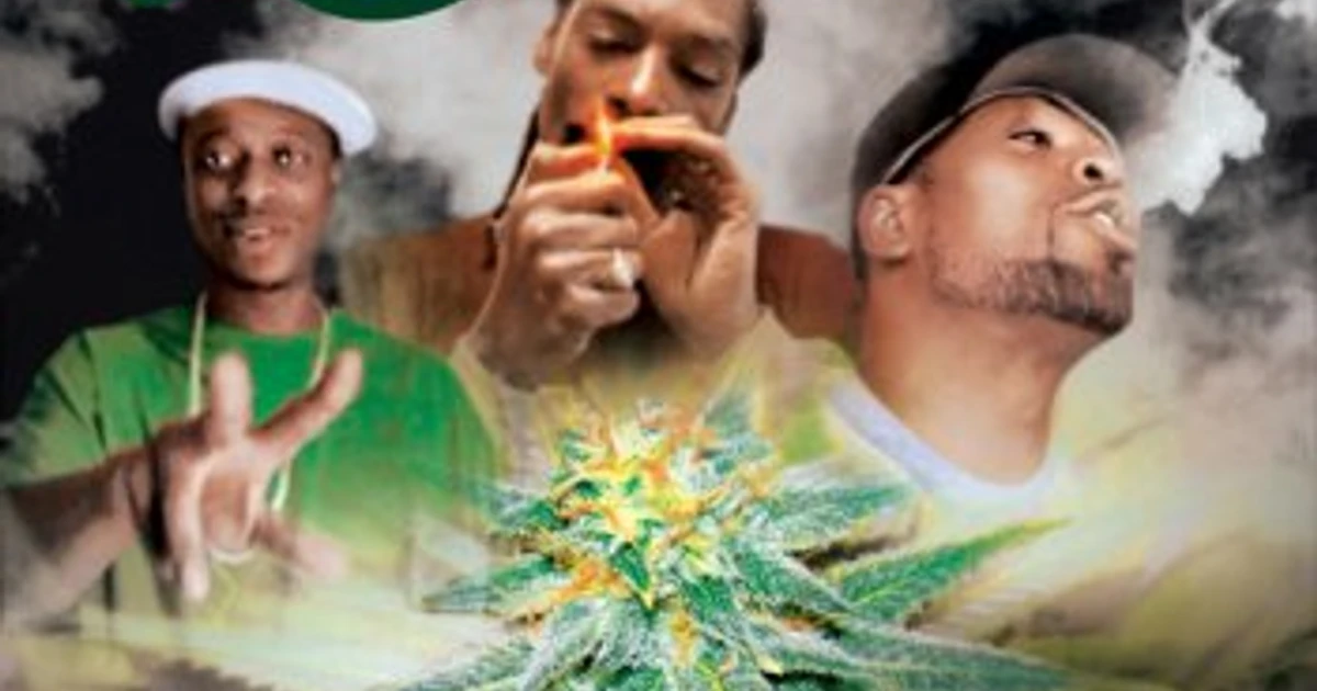Berner UP IN SMOKE DVD
