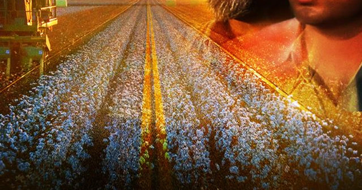 Homebound DVD