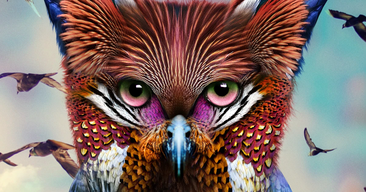 Galantis AVIARY CD