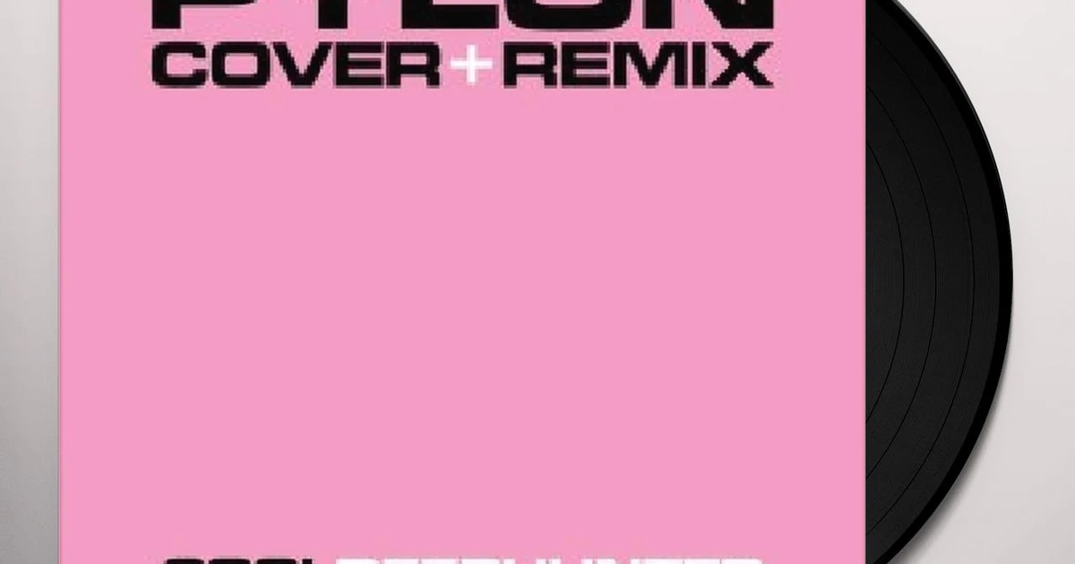 Pylon COVER & REMIX Vinyl Record