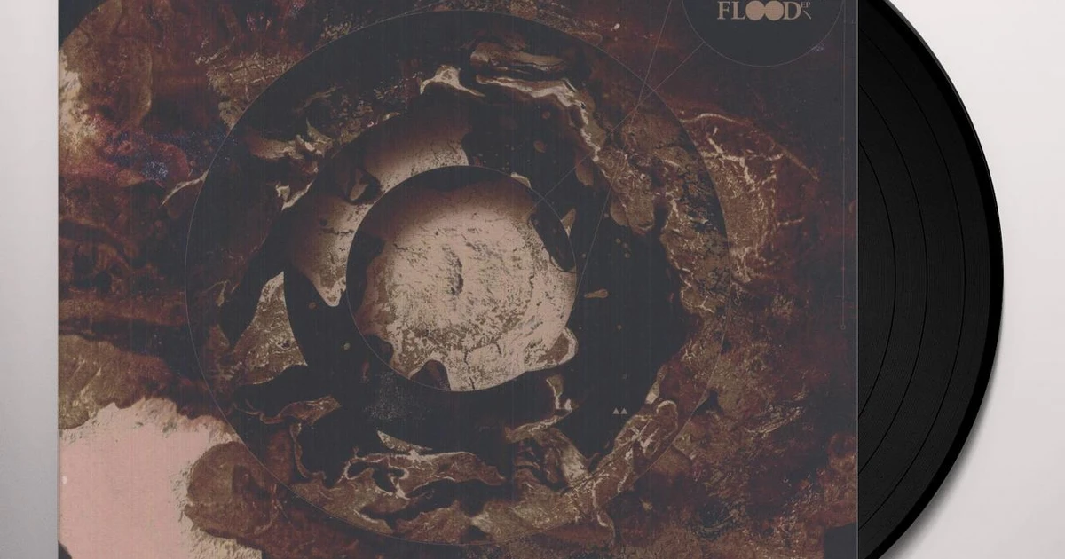 Broken Note Flood Vinyl Record